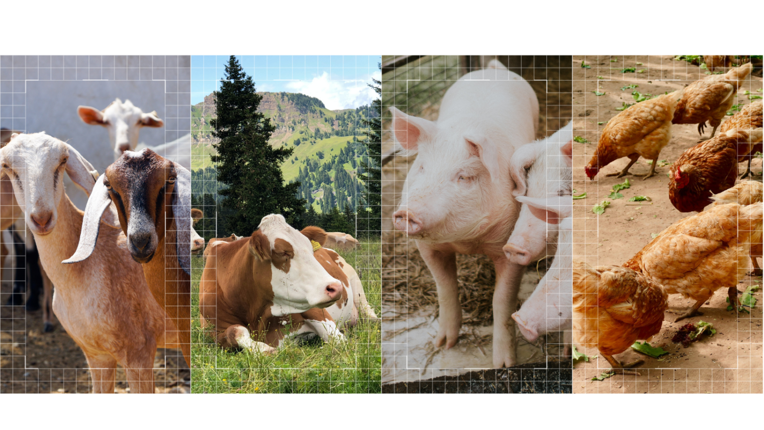 Home page - BIOSECURE